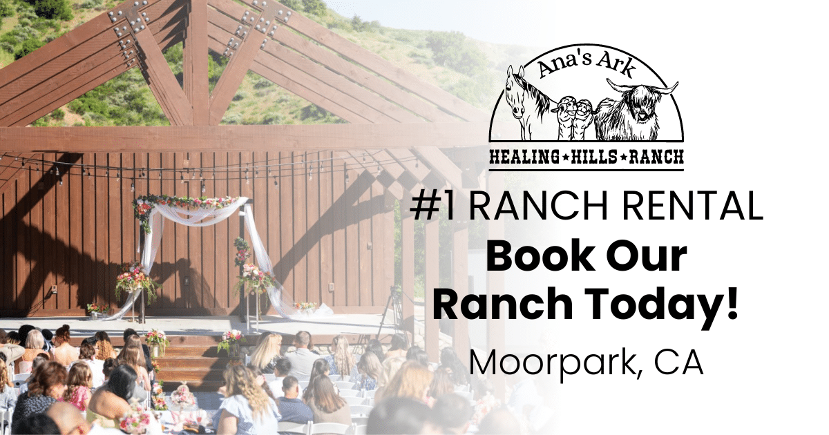 Healing Hills Ranch | Luxury Ranch For Rent In Moorpark, CA